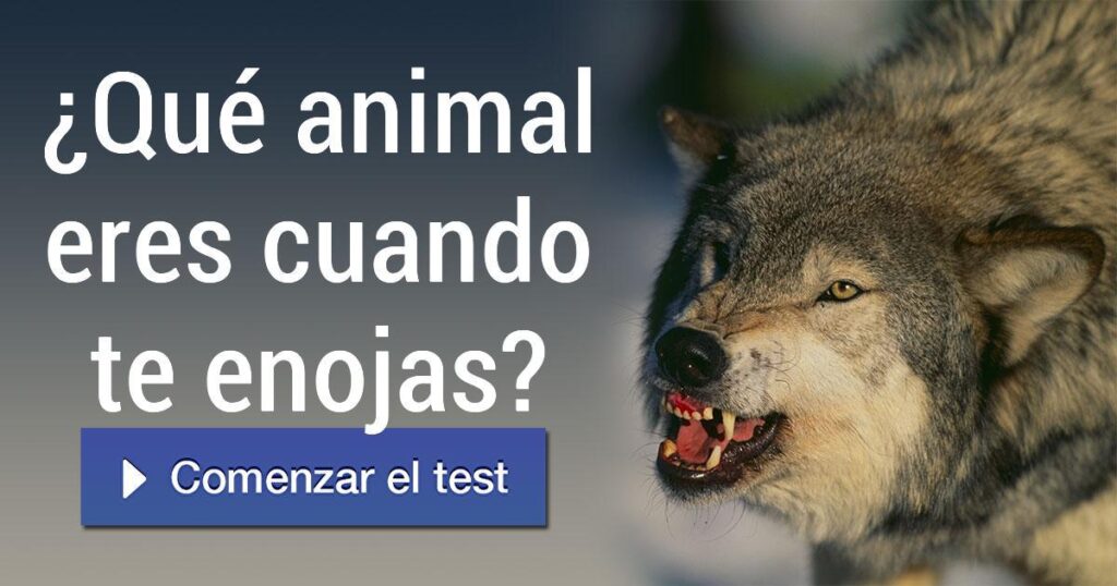 ¿Qué Animal Eres Cuando Te Enojas? – BERNIE LOPEZ